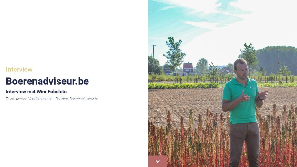 Interview - Wim Fobelets - Hectares 2024-002 NL