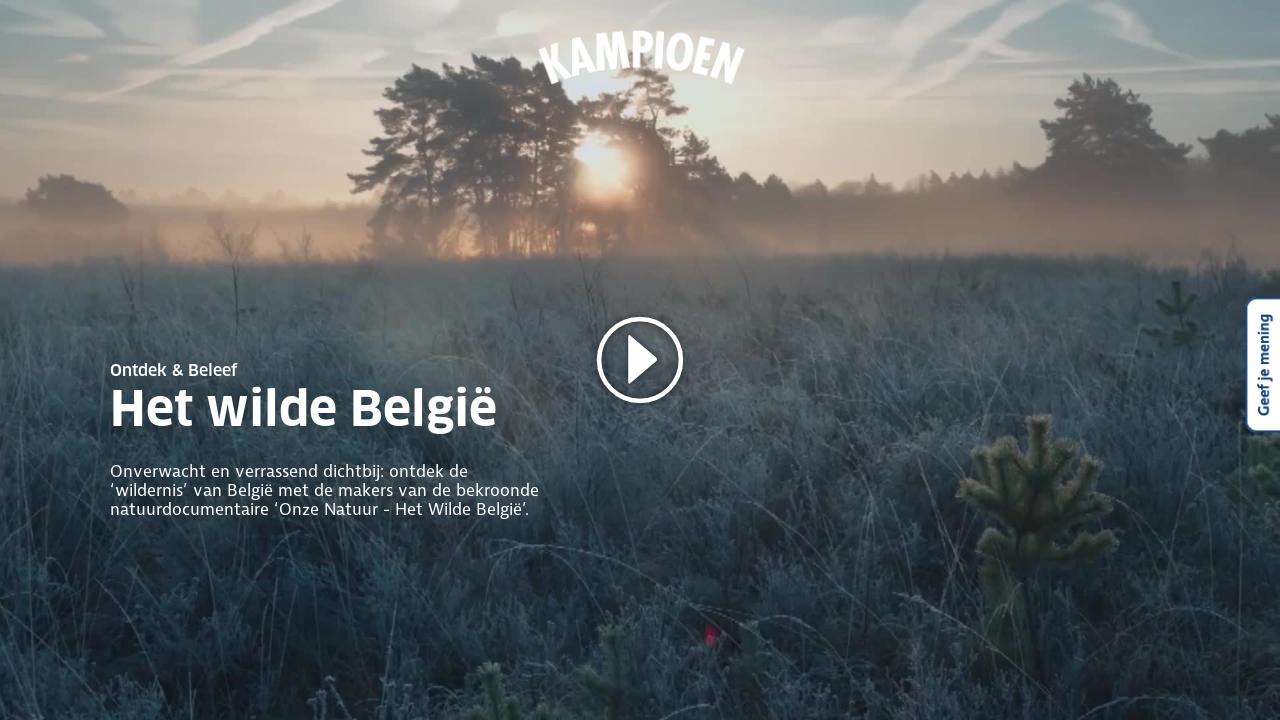 Wilde natuur in België | Ontdek & Beleef | ANWB Kampioen