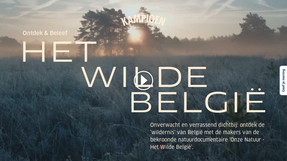 Wilde natuur in België | Ontdek & Beleef | ANWB Kampioen