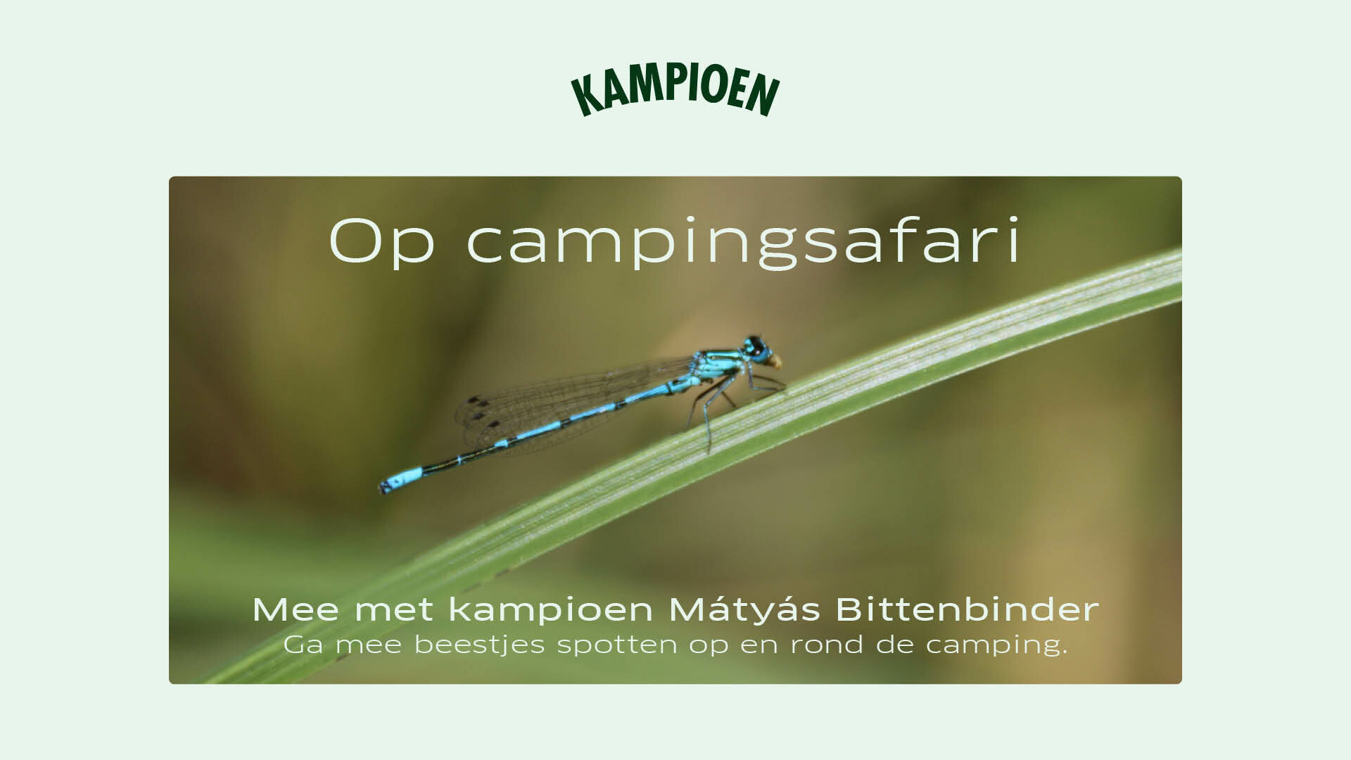 Mátyás Bittenbinder: beesten spotten op de camping | ANWB Kampioen