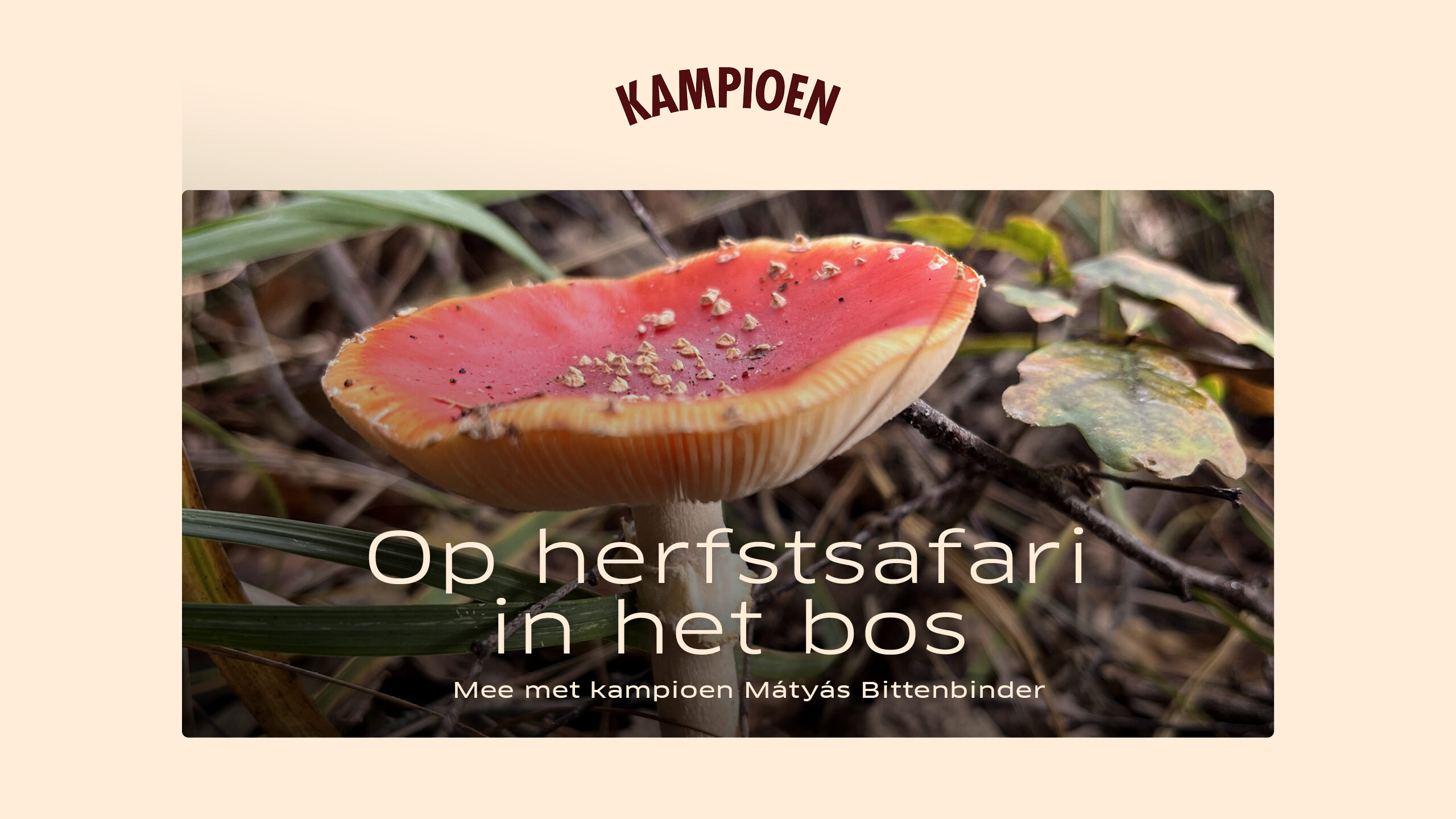 Met Mátyás Bittenbinder (herfst)wandelen in de bossen | Kampioen