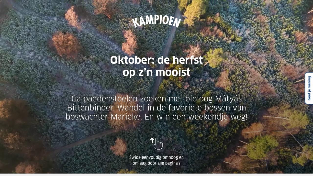 Oktober de herfst op zijn mooist | Nú live | Kampioen (digitaal) | ANWB