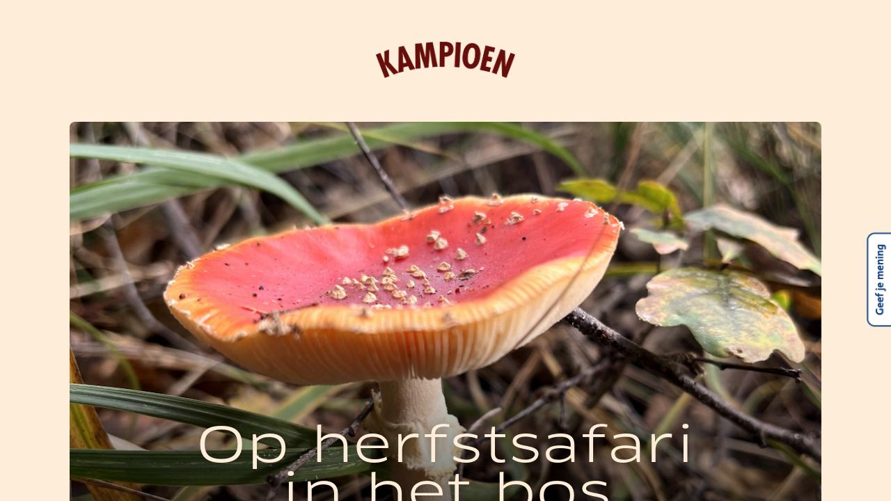 Met Mátyás Bittenbinder (herfst)wandelen in de bossen | Kampioen