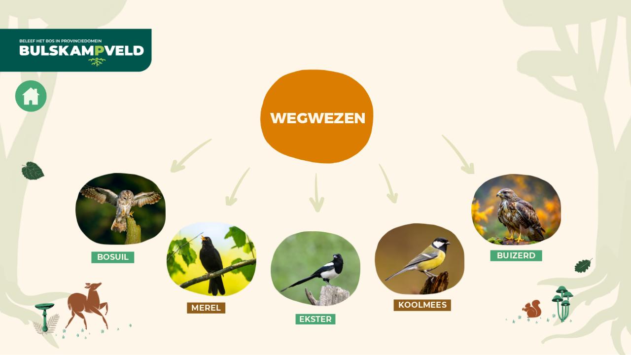 WEGWEZEN - Vogelquiz