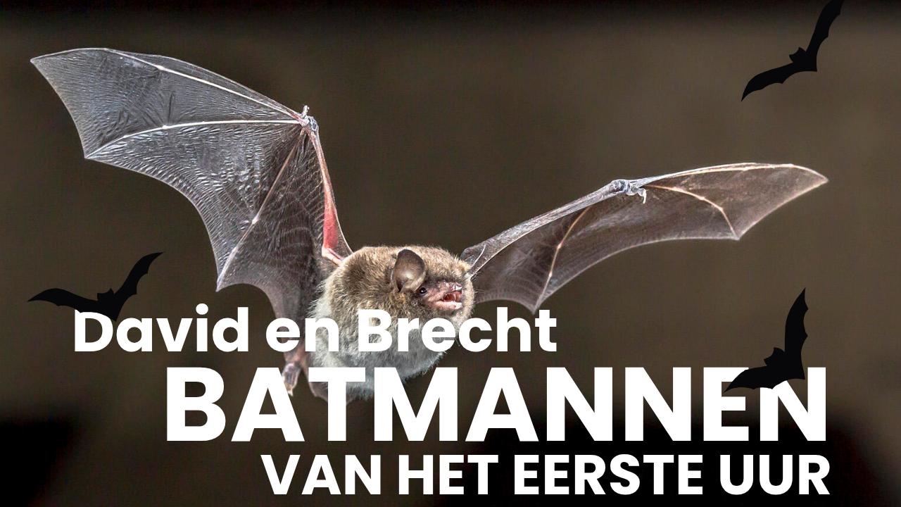 David en Brecht: batmannen van het eerste uur - Landschapskrant Leie en ...