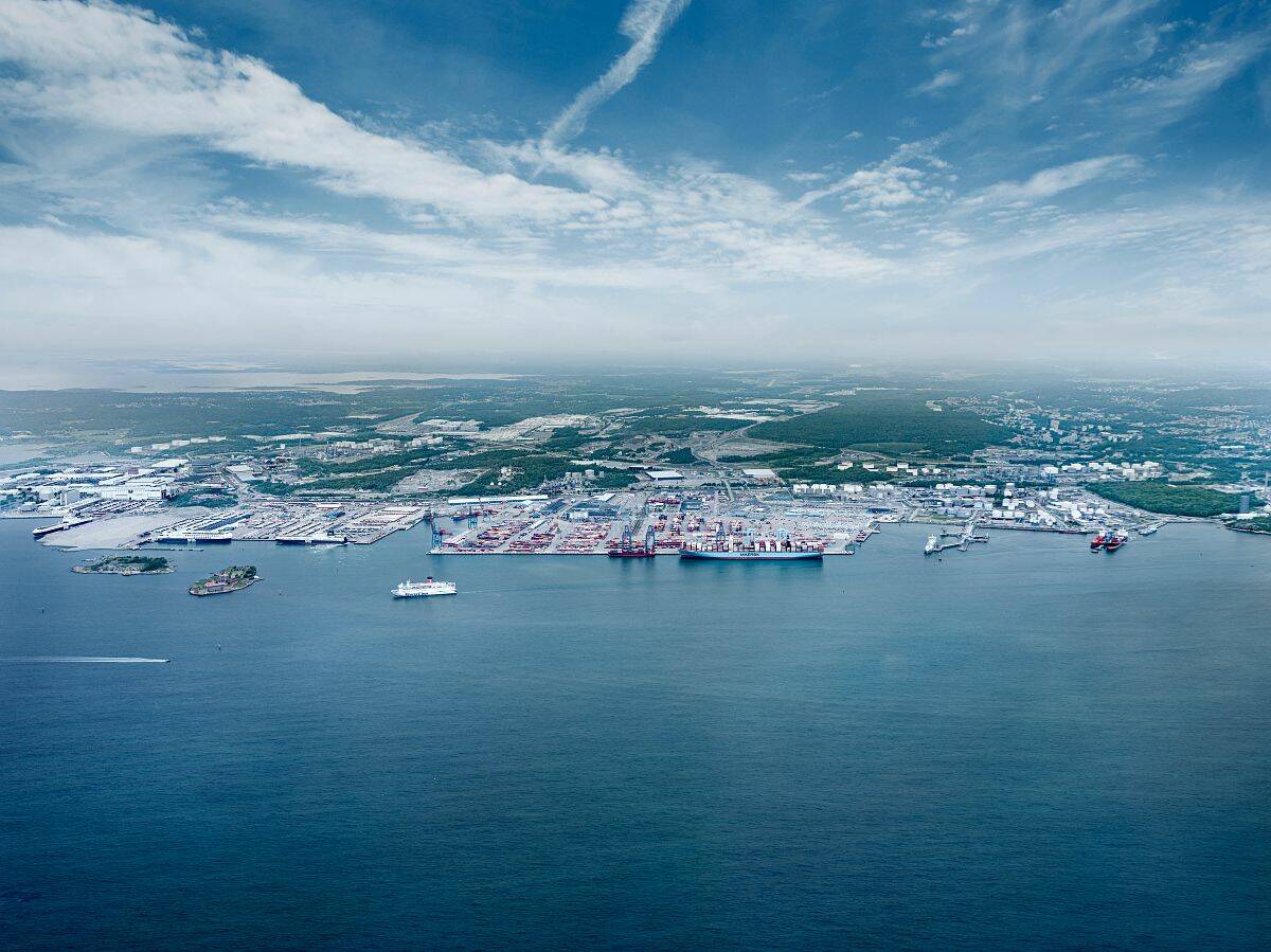 The Green Connection