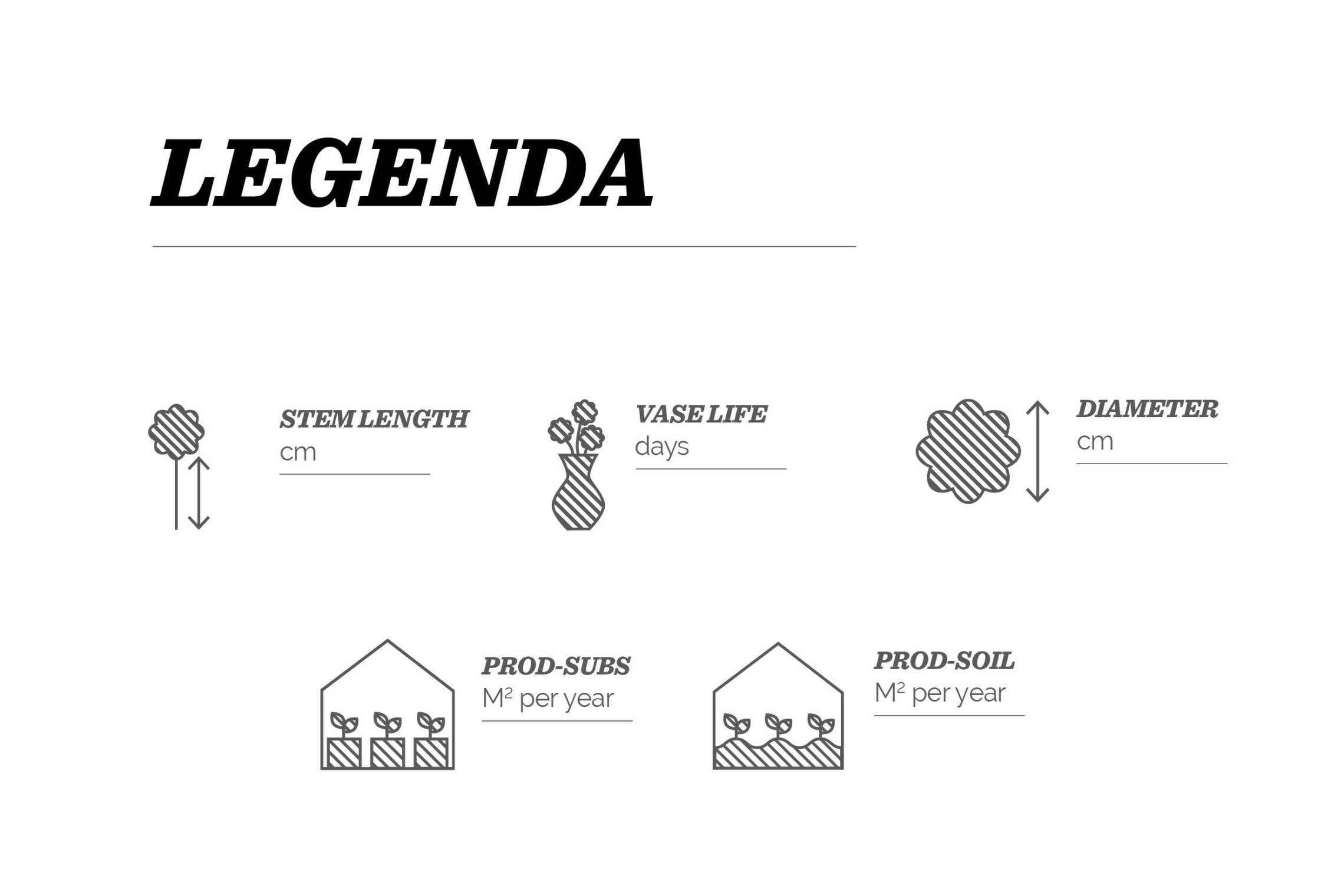 Catalogue - Gerbera 2023-2024