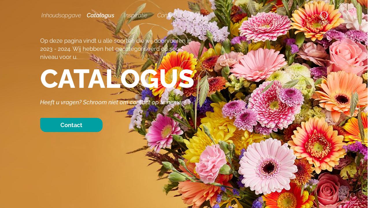 Catalogue - Gerbera 2023-2024