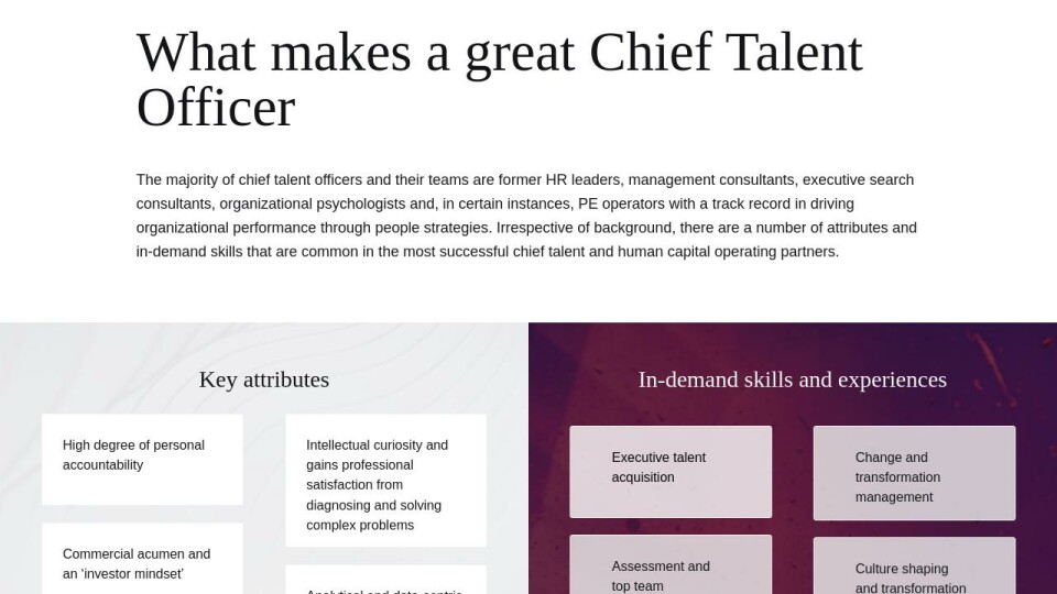 What makes a great Chief Talent Officer - The rise (and rise) of the Private Equity Chief Talent ...