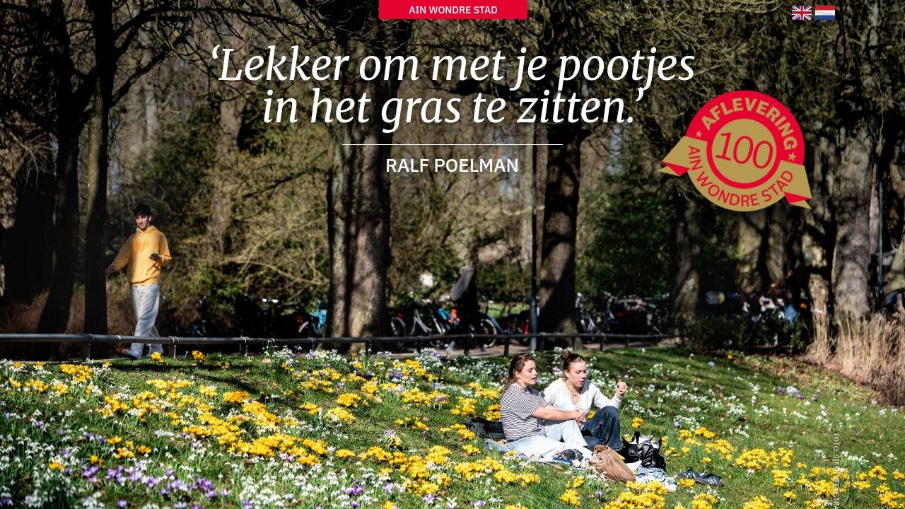 AIN WONDRE STAD - Broerstraat lente 2026