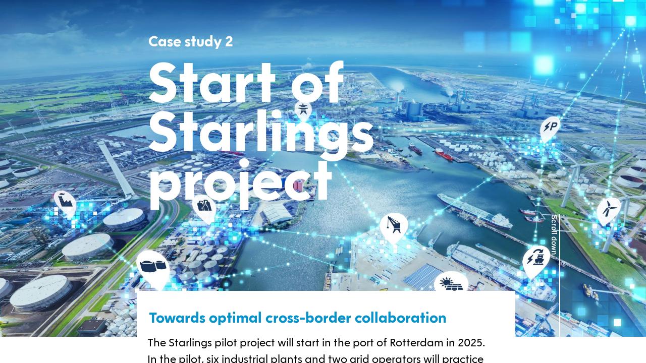 Starlings - Digital Report 2024