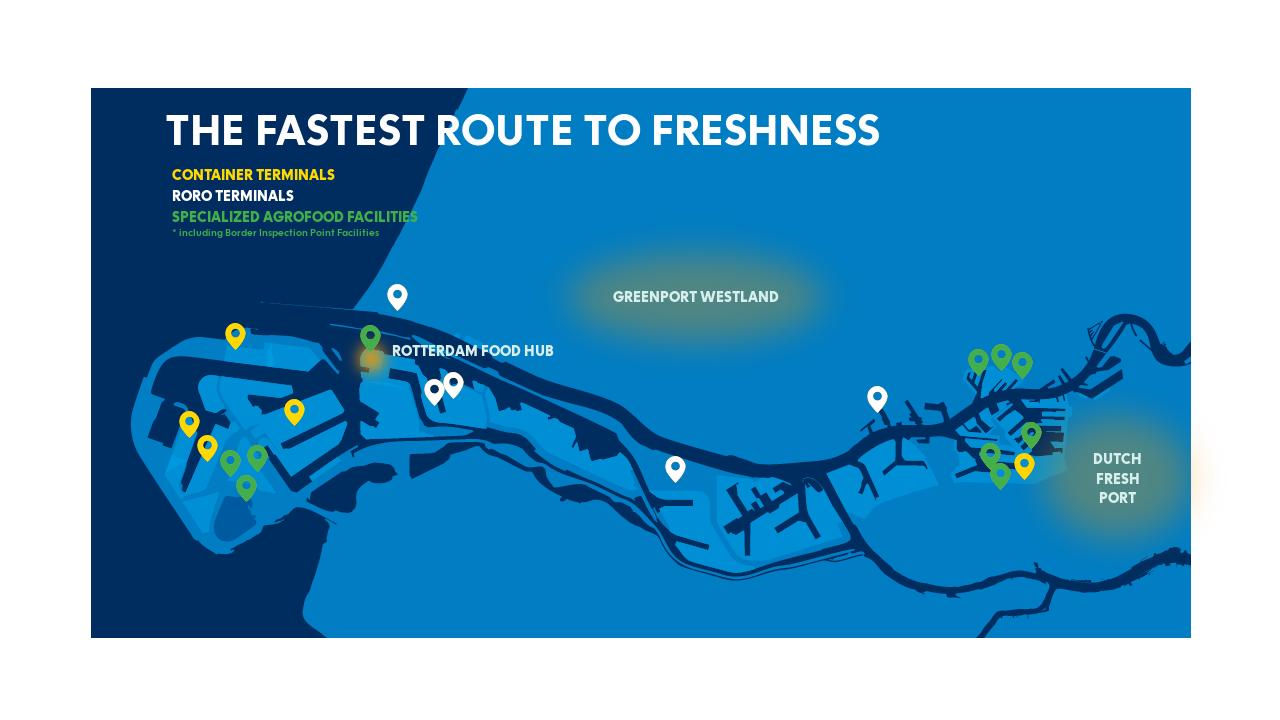 Fastest Route To Freshness - Fastest Route To Freshness