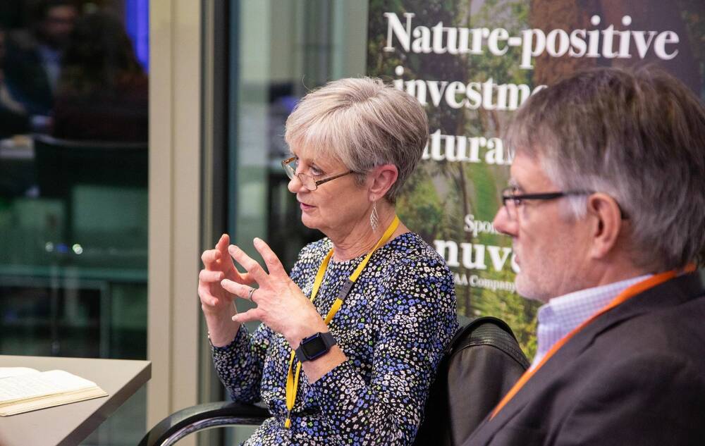 Vertical scenes - NZI Nature Positive Investing roundtable report