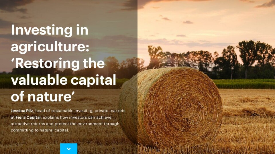 Fiera Capital: ‘Restoring the valuable capital of nature’ - Investing ...