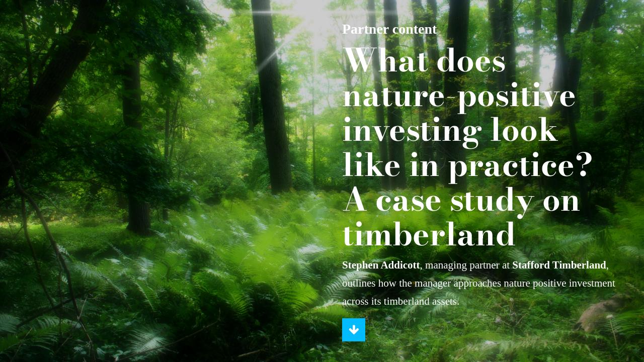 Stafford Timberland: What does nature-positive investing look like in ...