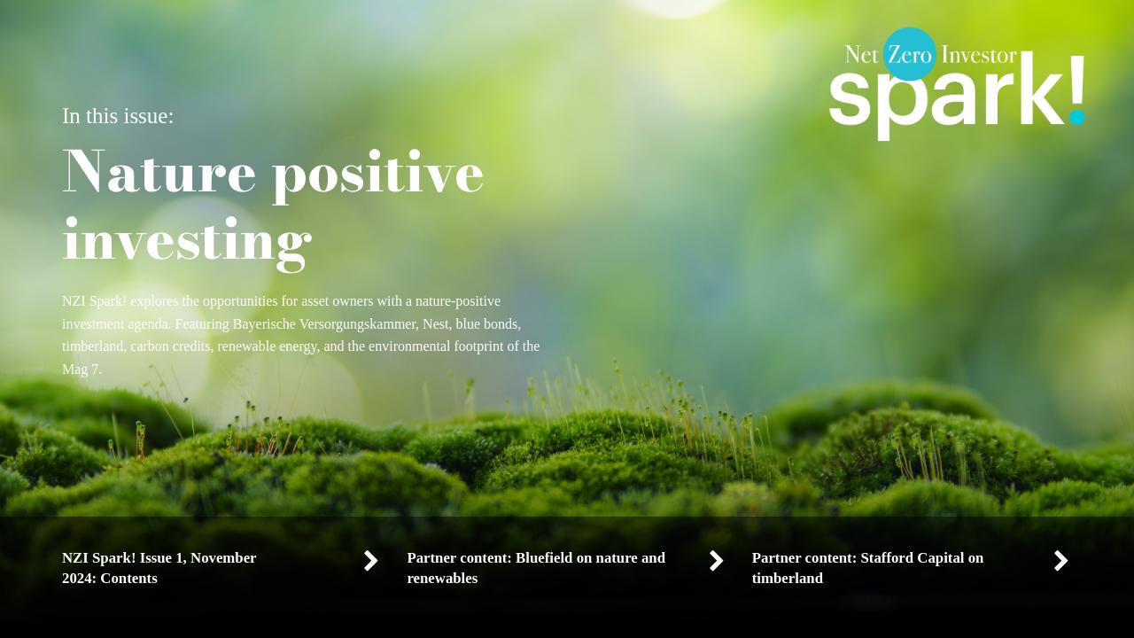 NZI Spark! Issue 1 - Net Zero Investor Spark