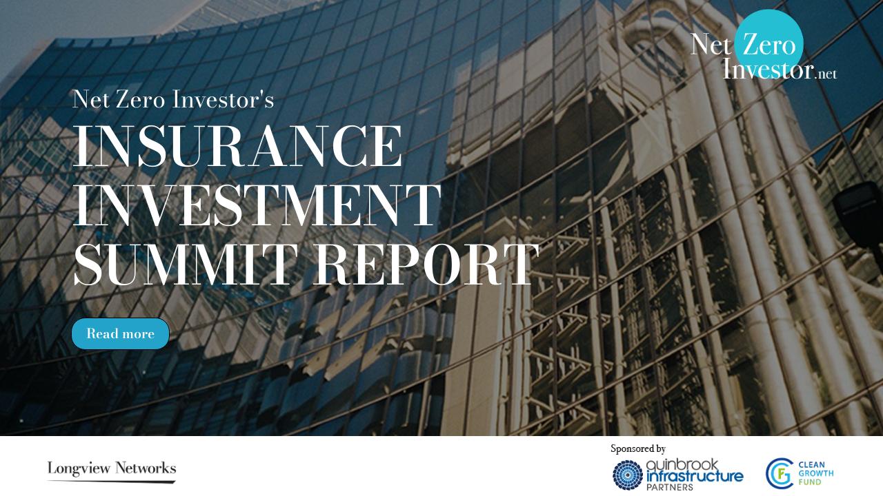 NZI Insurance Investment Summit report - NZI Insurance Investment Summit