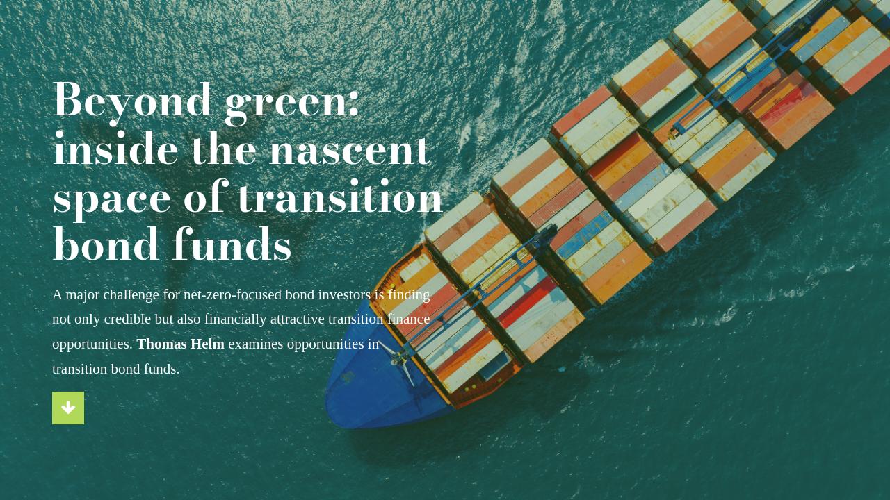Beyond Green: inside the nascent space of transition bond funds - Net Zero Investor Spark Issue 2