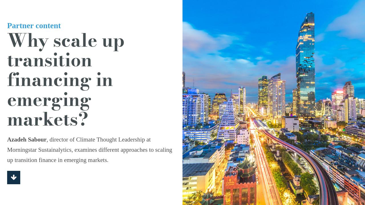 Morningstar: why scale up transition financing in emerging markets ...