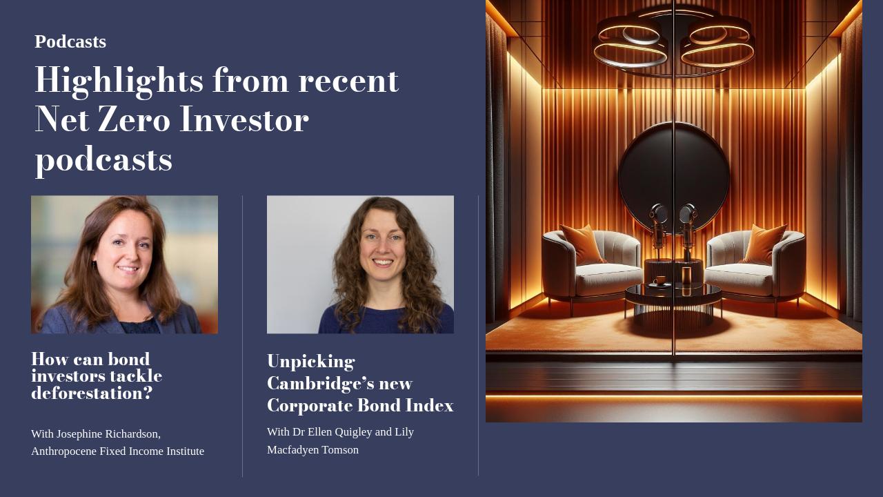Highlights from two recent Net Zero Investor podcasts - Net Zero ...