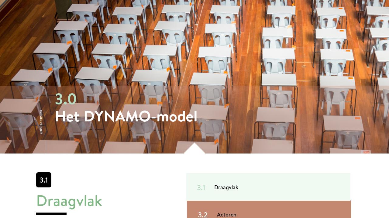 Het DYNAMO-model - Draagvlak creëren toegankelijk toetsen en examineren