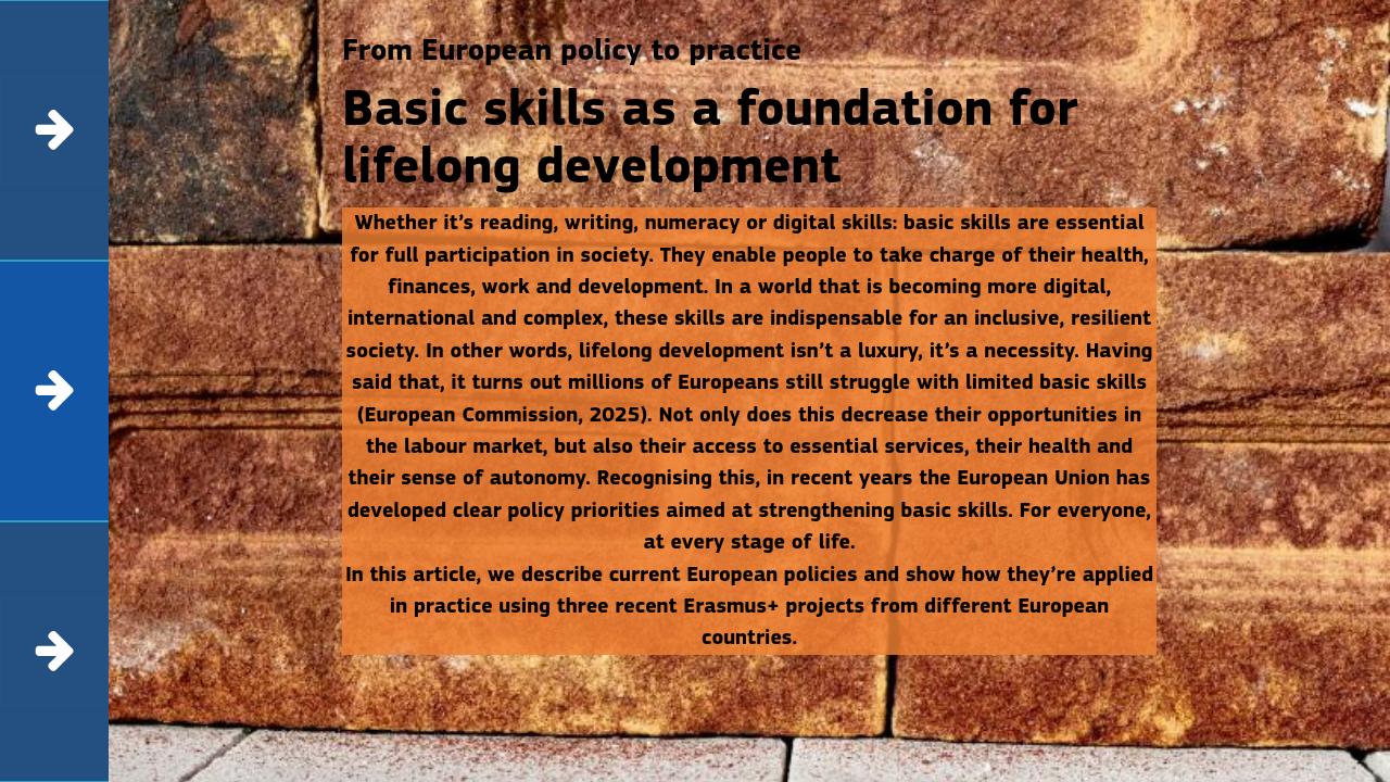 From European policy to practice: basic skills as a foundation for ...