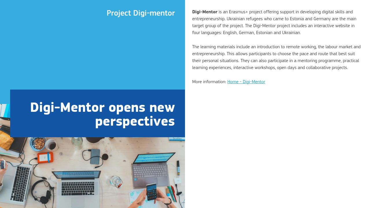 Digi-Mentor opens new perspectives - Basic skills policy and practice