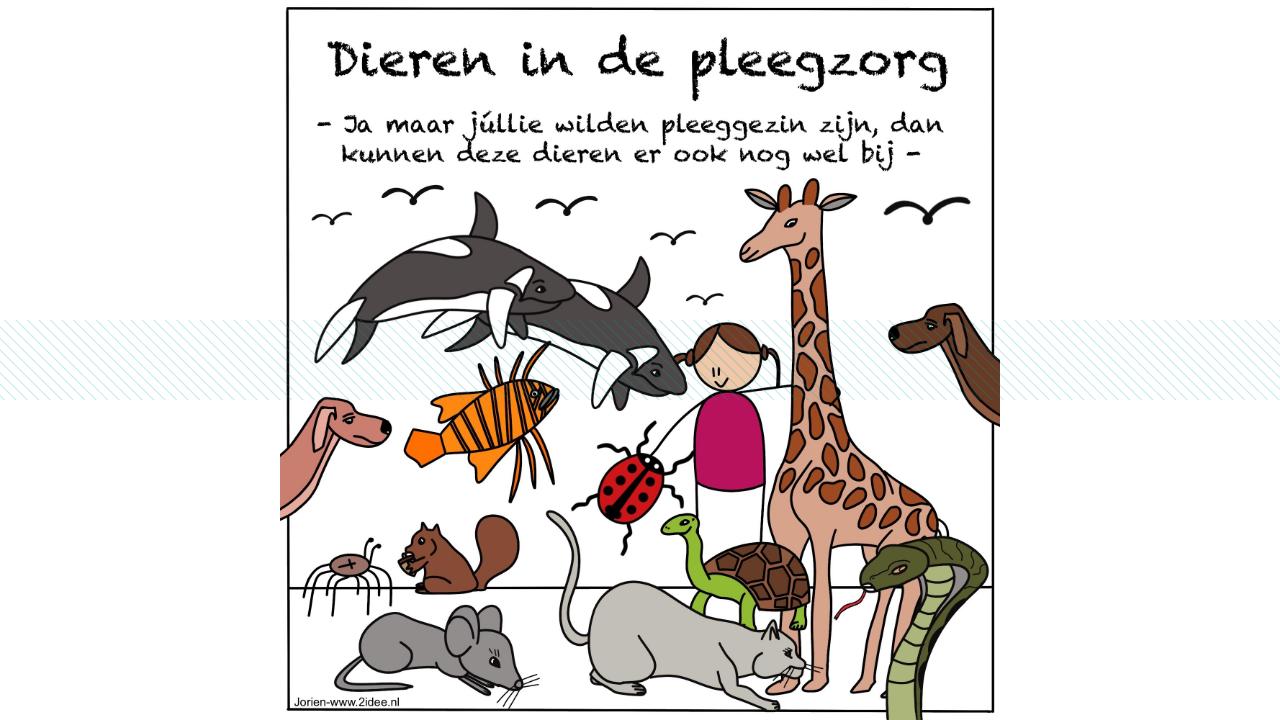 Cartoon - BIJ ONS juli 2025