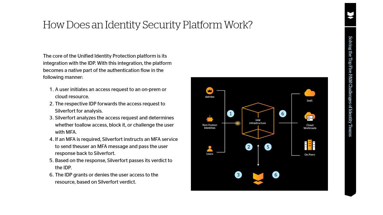 How Does an Identity Security Platform Work? - eBook: Solving the Top ...