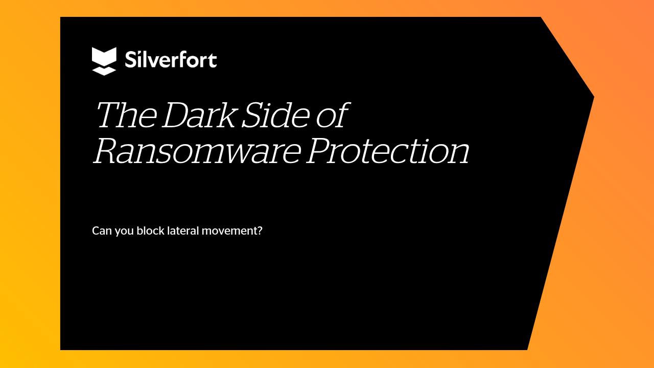 hidden-risks - eBook: The Dark Side of Ransomware Protection