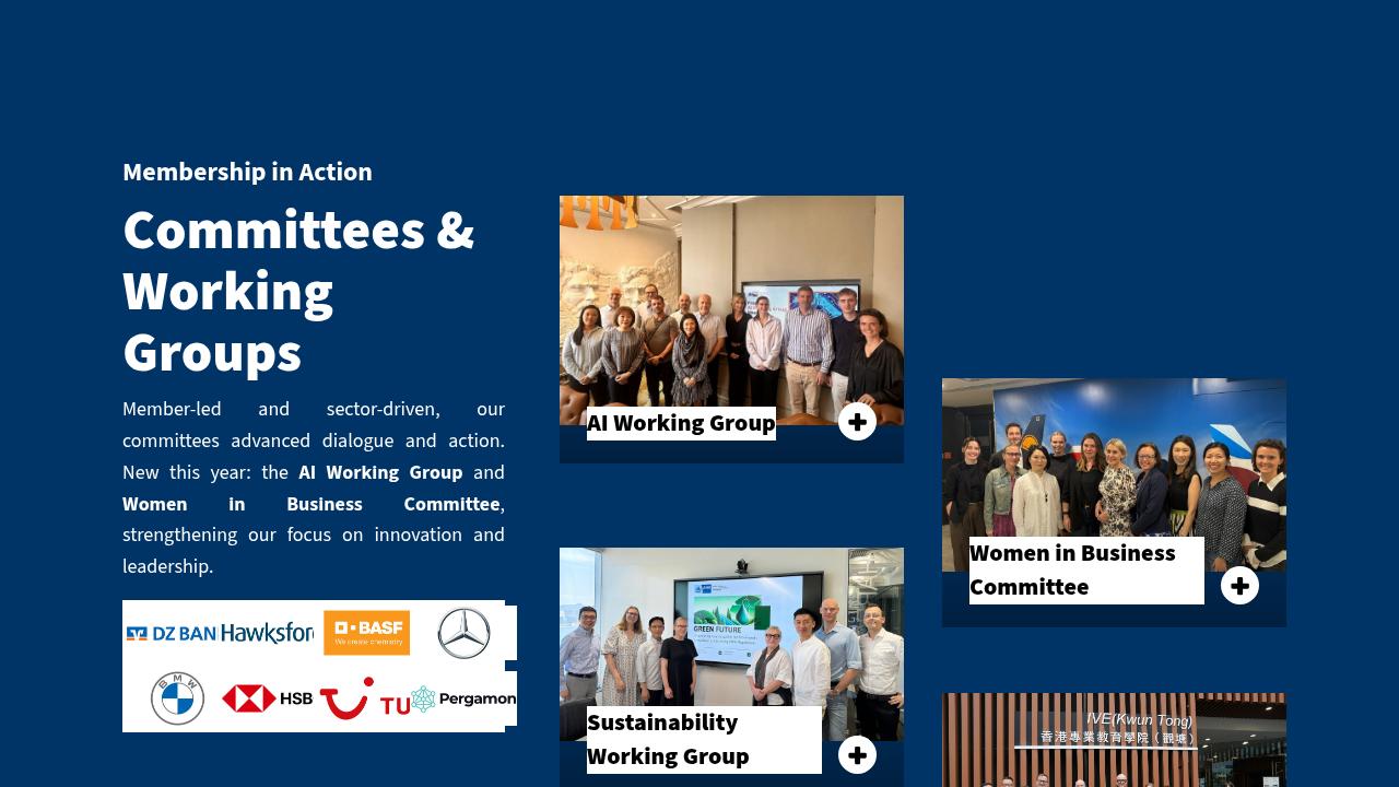 GCC Committees and Working Groups - Annual Report 2024/25 – GIC & GCC Hong Kong