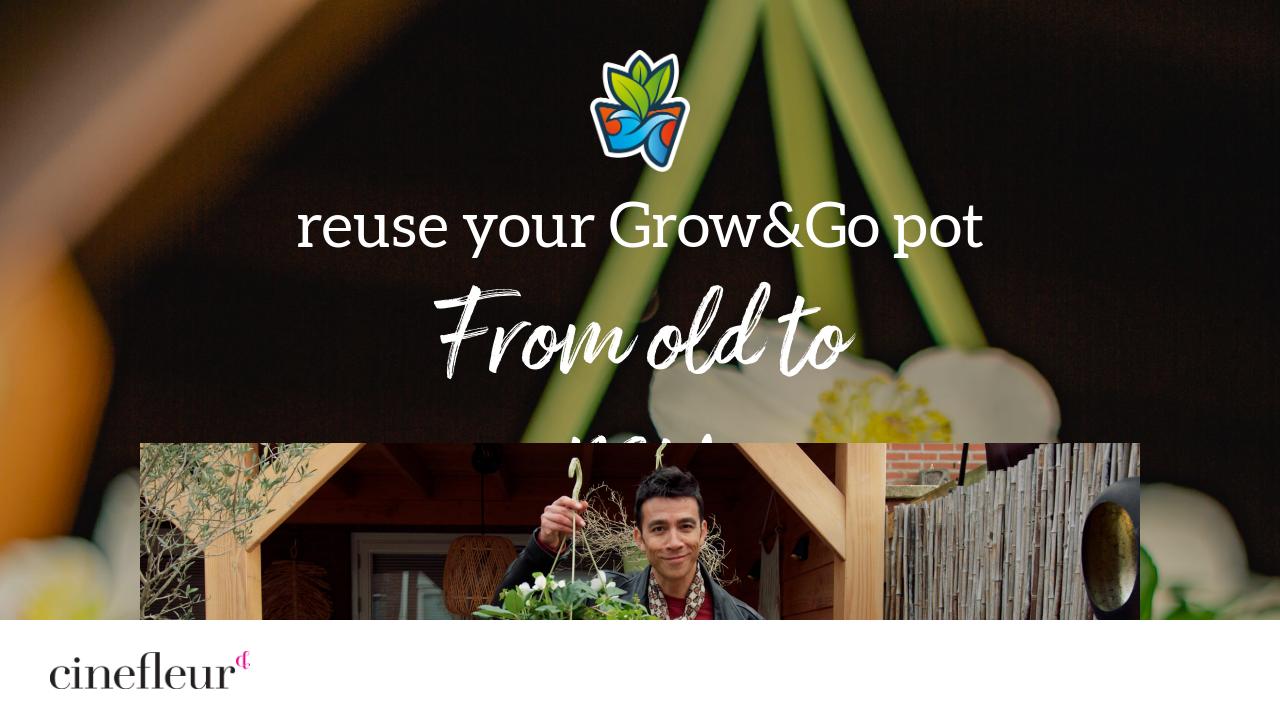 Grow & Go - Desch Grow & Go
