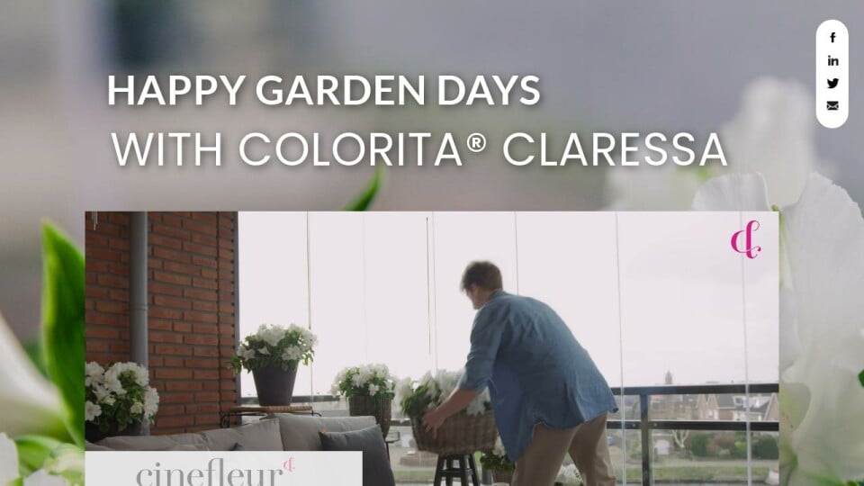 Colorita Claressa - Product Introduction Claressa