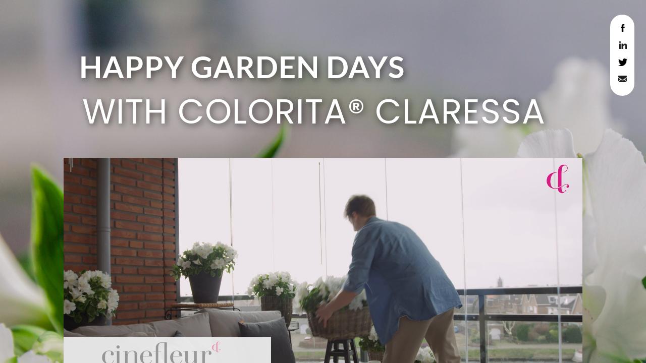 Colorita Claressa - Product Introduction Claressa