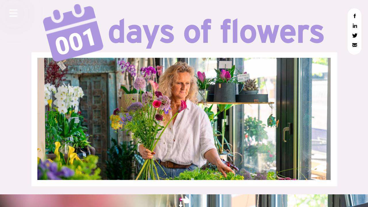 365 days of flower - 2024 Marvelous Munich