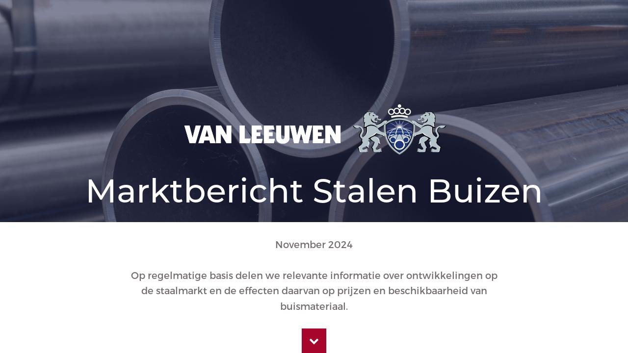 Marktbericht Stalen Buizen - Marktbericht Stalen Buizen november 2024